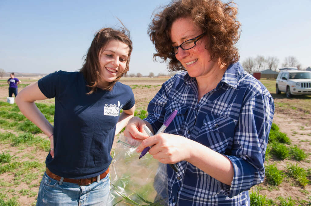 Invest in the College of Agriculture - Kansas State University Foundation
