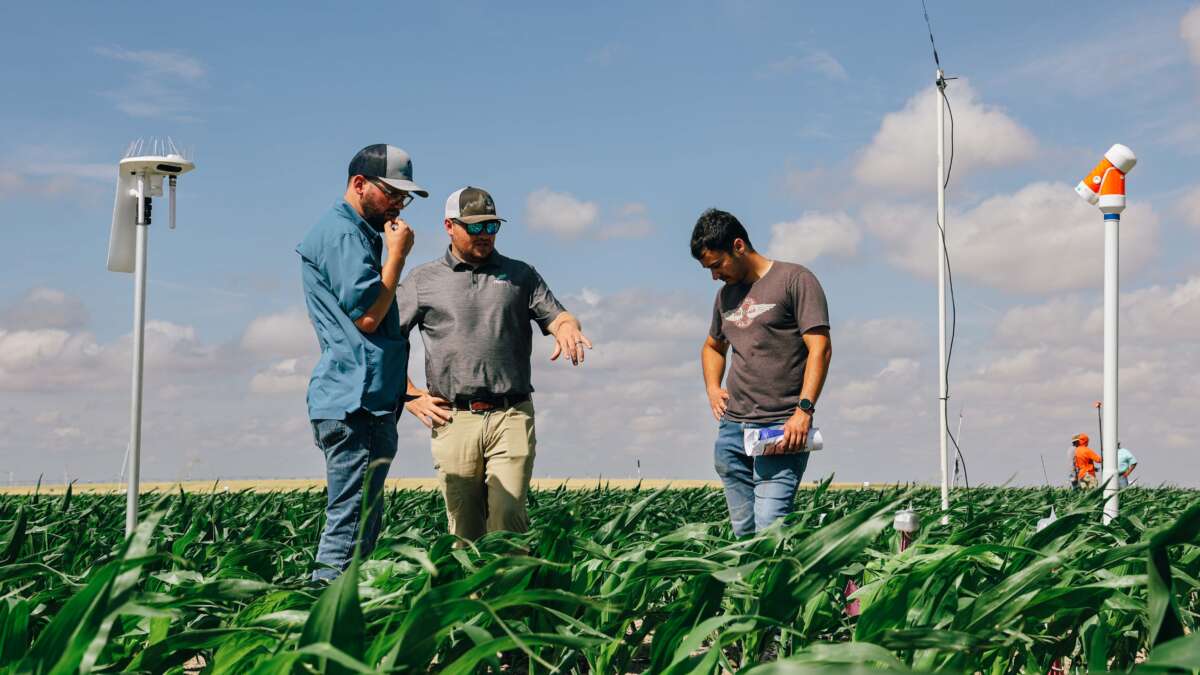 Old roots, new tools - Kansas State University Foundation