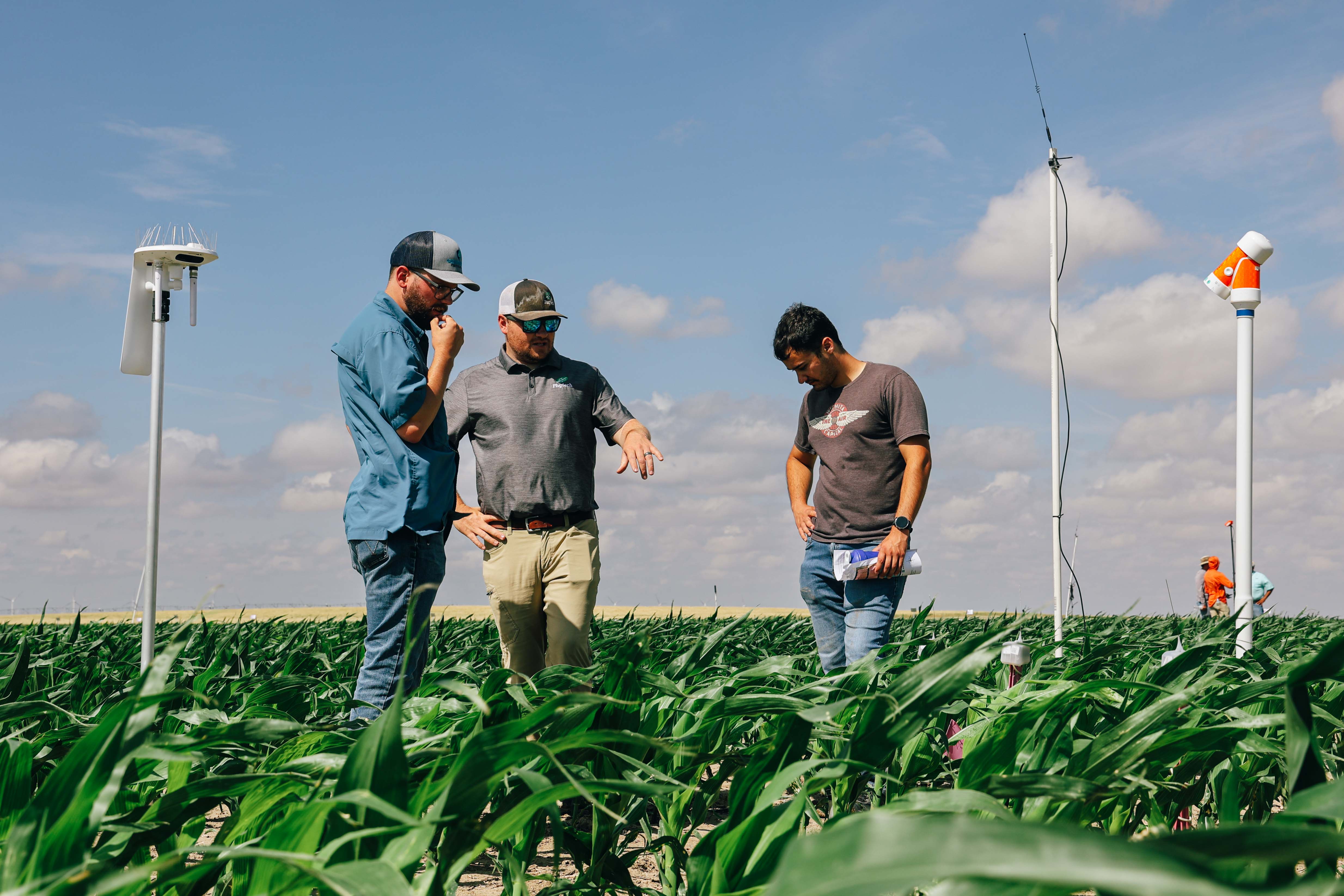 Old roots, new tools - Kansas State University Foundation
