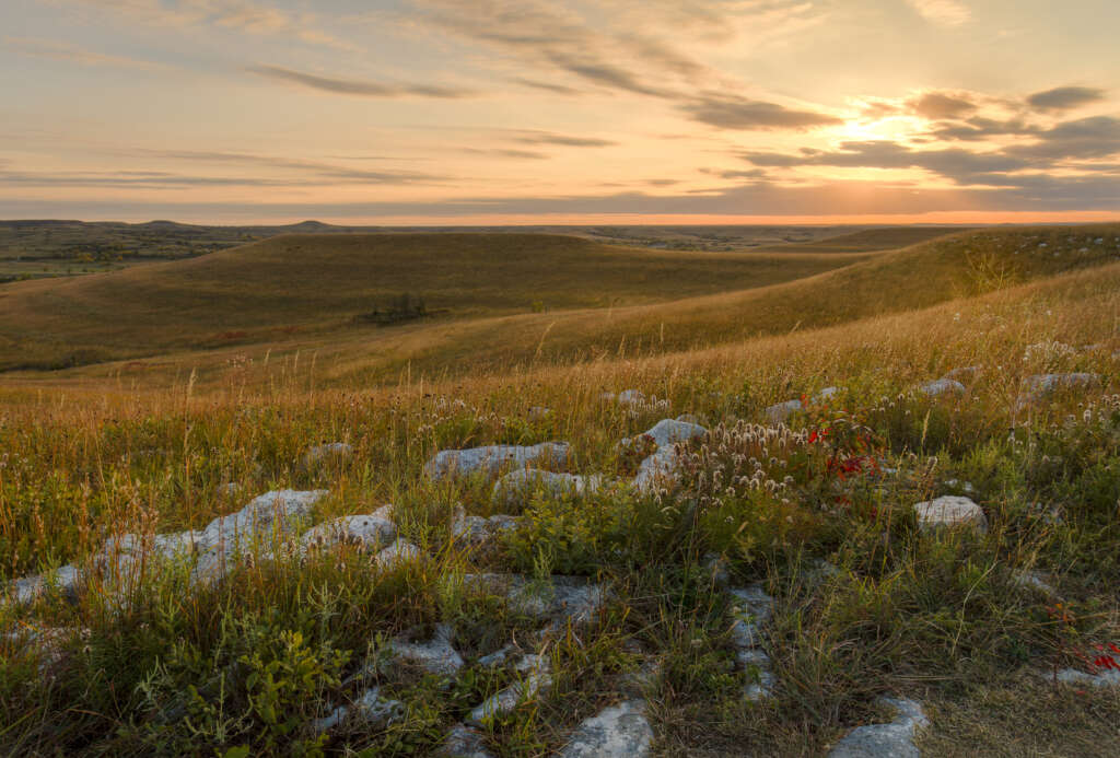 Protect the prairie - Kansas State University Foundation